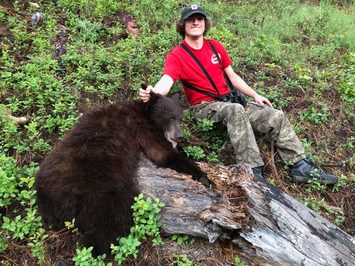 Bear – Vella Marie